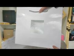 Hot Stamping Logo Paper Gift Bags Packaging Clothing With Handle