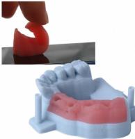 China Gingiva Resin for sale