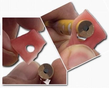 Quality Gingiva Resin for sale