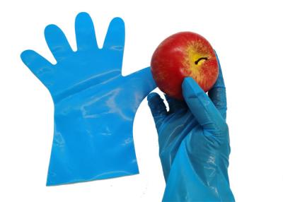 Cina Flexible Puncture-resistant Blue CPE Gloves for Kitchen Food Classification in vendita