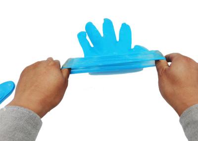 Cina Flexible Puncture-resistant Blue CPE Gloves for Kitchen Food Classification in vendita