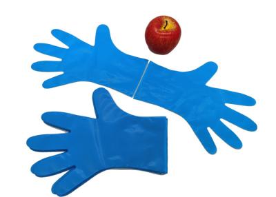 Cina Flexible Puncture-resistant Blue CPE Gloves for Kitchen Food Classification in vendita