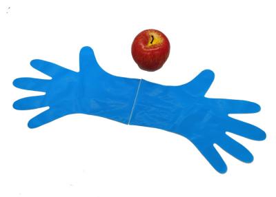 Cina Flexible Puncture-resistant Blue CPE Gloves for Kitchen Food Classification in vendita