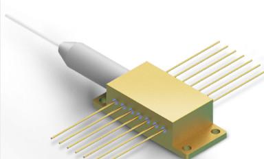 Cina marca di Bwt del laser a diodi coppia fibra di 785nm 600mw in vendita
