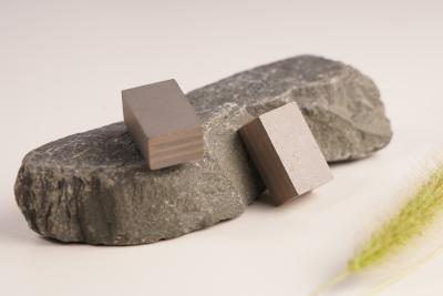 Cina Flat Form Indonesia Segmento di arenaria 24*9*15mm Disco singolo Tagliatore di arenaria Punti Segmento di strato sandwich in vendita