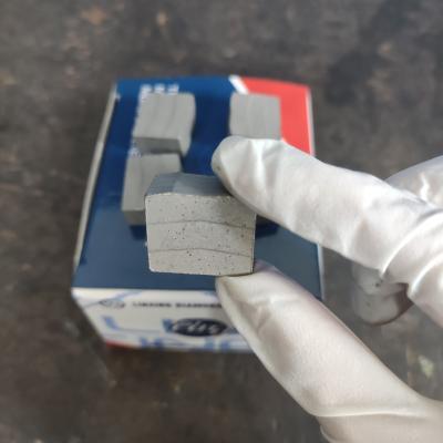 Cina Supporto personalizzato ODM 2000mm Segmento di pietra da taglio per la lamina a forma di M Granito Diamante Strumento in vendita