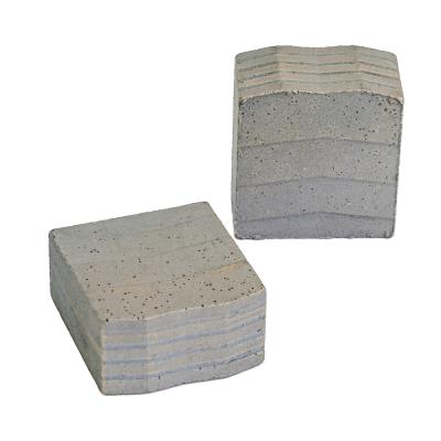 Cina Segmenti di diamanti di tipo M personalizzati 24*11.6/12.4*20 mm per il taglio di piastrelle di blocchi di granito in vendita