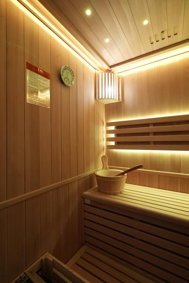 Full spectrum carbon heater interior details