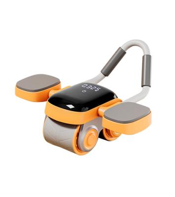China Multi Functional Power Roller Fitness Equipment, 150kg Weight Capacity for sale
