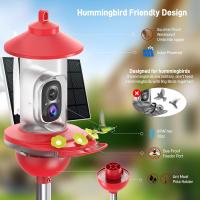 China Smart Bird Feeder for sale