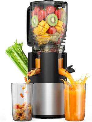 China Masticating Juicer Stainless Steel Housing Reverse Mode Low Noise Extraction for sale