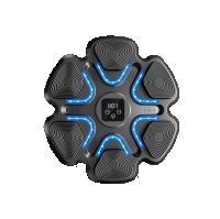 Quality Smart Music Boxing Machine Wall Mounted Bluetooth Boxing Target with LED Display for sale