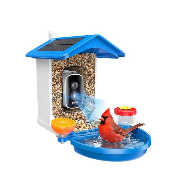 Quality Smart Bird Feeder With Camera, Bird Camera Wireless For Outdoors for sale