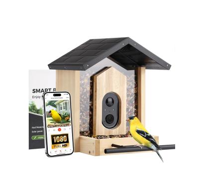 China Visible Bird Feeder with 1.5L Large Capacity and Automatic Squirrel Repellent for Continuous Bird Feeding and Protection for sale