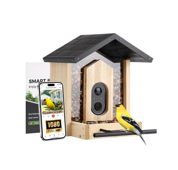 Quality Visible Bird Feeder with 1.5L Large Capacity and Automatic Squirrel Repellent for Continuous Bird Feeding and Protection for sale
