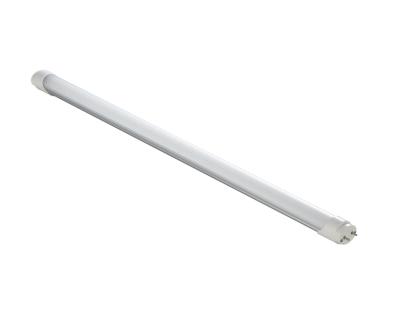 Cina 10W 180V, 220V, 260V AC caldi bianchi LED tubi T8 con 3800 A luce bianco naturale 4200K in vendita