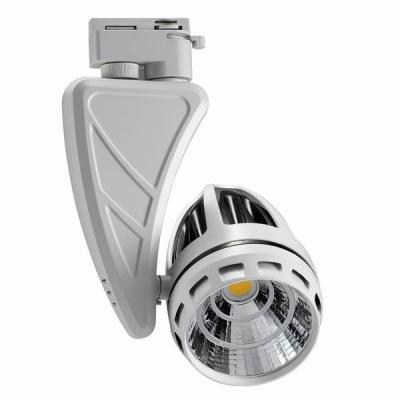 Cina 30W la pista della PANNOCCHIA LED accende l'alta luminanza per illuminazione del punto in vendita