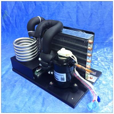 China Best Portable Compressor 12V for Water Chiller and Other Small Liquid Refrigerantion System for sale