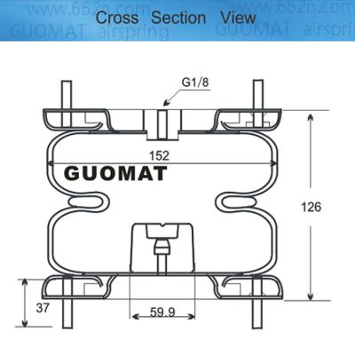 중국 던롭 6"X2 울부짖기 산업적 공기 스프링은 뒤엉킨 G1/8 공기 피팅을 두배로 합니다 M10 M8 볼트 직물 룸 판매용