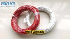 Why This High Temp Multicore Cable Beats All Others in Harsh Conditions