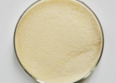 China 11138-66-2 Drilling Fluid Chemicals Industrial Grade Xanthan Gum For Drilling Mud 80 Mesh for sale