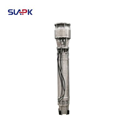 China 10 inch 12 inch 14 inch High-Performance Stainless Steel Submersible Pumps for Seawater Lifting for sale