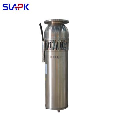 3kw 5.5kw Pompa per fontana QSP Resistenza alla corrosione Pompa per fontana d'acqua Fontana musicale