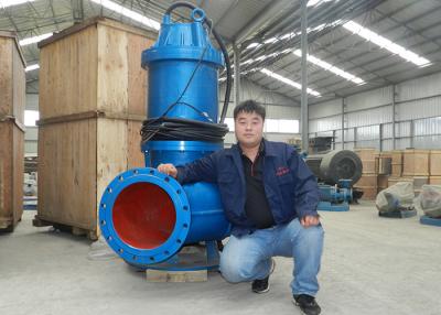 Cina Pompa per scarico sommergibile da 75 kW a 100 CV di fase 3 50hz / 60hz Protezione IP68 in vendita