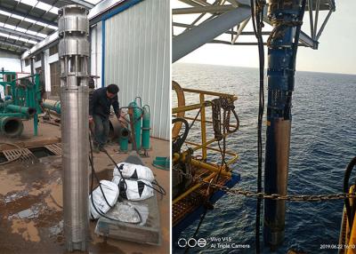 중국 해수 깊은 우물 잠수 펌프 75kw 100hp SS316L 재료 60m 머리 판매용