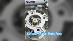 Stainless steel submersible water pump