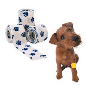 Cina Oem Non Woven Cohesive Bandage Disposable Type in vendita
