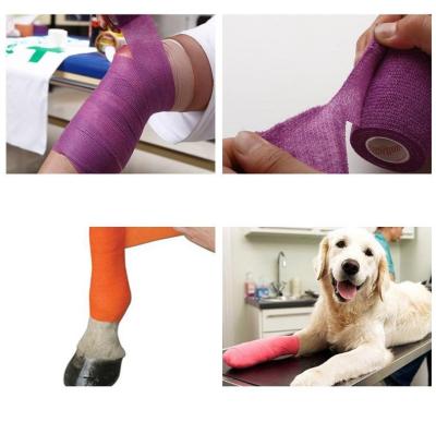 Cina Fixation Animal Healthcare Oem Cohesive Bandage Patterned Wrap Vet Flexible Self Adhesive in vendita