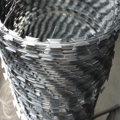 China barbed razor wire/ stainless steel razor barbed wire/ razor wire mesh (factory) for sale