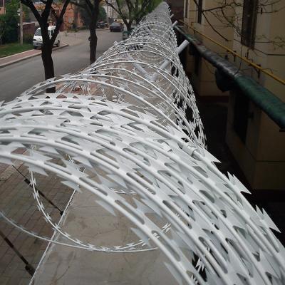 China Factory supply hot dipped reinforced concertinas galvanized single coil razor barbed wire for sale