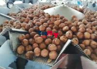 중국 1.6 핵심 호두 더 큰 메뚜기 충전기를 위한 기계 멀티헤드 가중기를 심사숙고하는 더 밝혀지는 멀티헤드 판매용