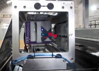 China 200g Multihead Weigher Packing Machine for Wolfberry Dried Fruit - 60 Bags/Min Speed with VFFS for sale