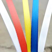 China Customize PP Packing Strap Making Machine High Accuracy Full Automatic for sale