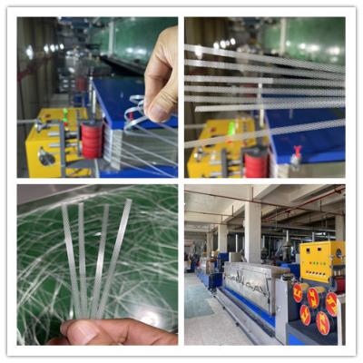 Chine Ligne de production automatique de sangles en plastique 200 kg/h à vendre