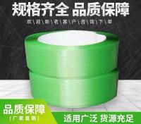 China PET Strap Making Machine Horizontal Tablet Structure Easy Maintenance 450 Type for sale