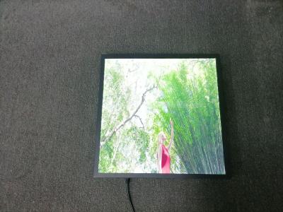 Cina Rete WIFI da 22 pollici Display Android LED LCD 1:1 schermo quadrato 1920x1920 monitor pubblicitario Display NFT per Digital Art Gallery in vendita