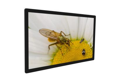 Cina Display pubblicitario digitale a parete a 49 pollici LCD a LED Risoluzione 3840*2160 in vendita