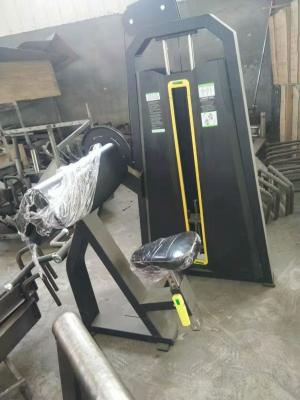 中国 OEMのボディー ビルの体育館の練習の三頭筋のカール機械粉のコーティング 販売のため