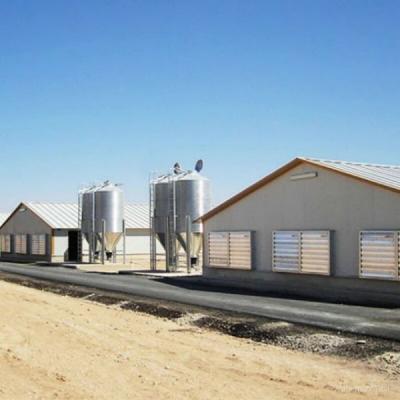 China Anti Rust Steel Structure Poultry House Prefab Industrial Buildings Lightweight for sale