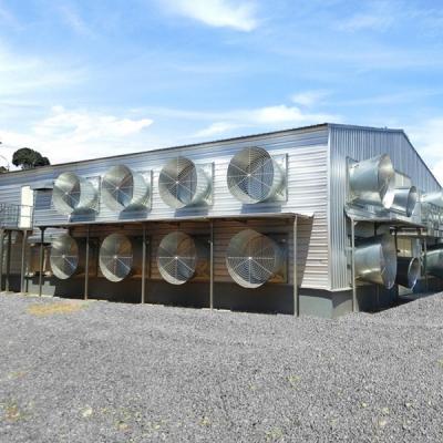 China Intelligent Climate Controlled Steel Structure Poultry House Prefabricated Industrial Buildings for sale