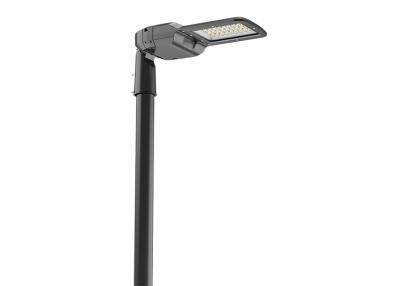 China EAGLE GEN4 TUV ENEC ENEC PLUS+ CB CE RoHS Certified 30W DALI-2 LED Street Light 195lm/W With 7 PIN NEMA Socket Shorting Cap and 10KV SPD Tool-free opening and Self-cleaning Design for sale