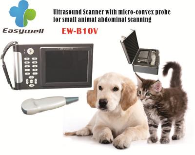 China Read-time Veterinary B-ultrasound scanner EW-B10V with micro-convex probe for scanning abdomen of small animals for sale