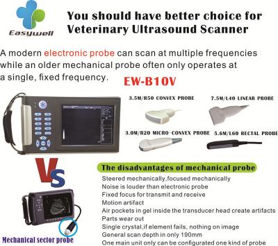 China Veterinary ultrasound scanner EW-B10V with convex for reproductive tract and diagnose pregnancy for sale