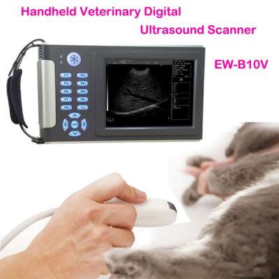 China Cheapest Veterinary ultrasound scanner EW-B10V with Convex probe C3.5R60 for Abdominal and reproduction for sale
