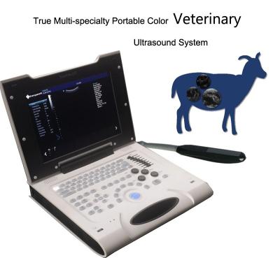 China Rectal ultrasound Popular Laptop ultrasound scanner color doppler EW-C8V with Rectal probe LV7.5/60 for veterinary pregn for sale