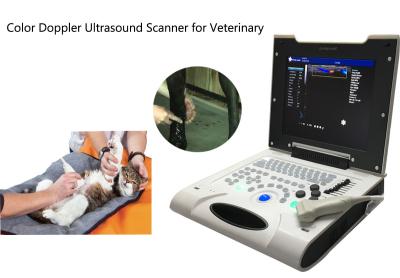 China Affordable Color Veterinary Ultrasound System EW-C8V with Linear probe L7L40 for Surface testing of small and large anim for sale